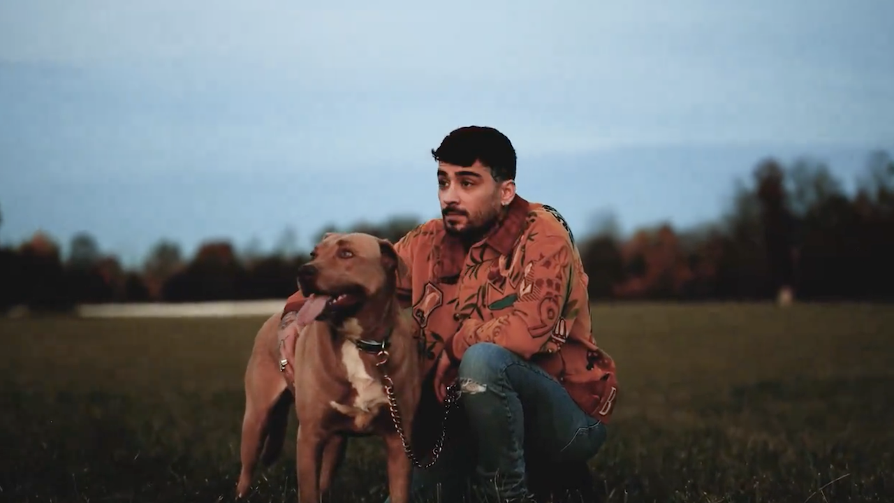 Zayn stelt tournee in Verenigde Staten uit na dood Liam Payne - Newsmonkey