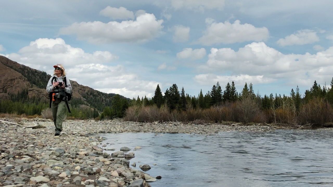 Knotsgekke documentaire 'Gold & Greed: The Hunt for Fenn's Treasure ...