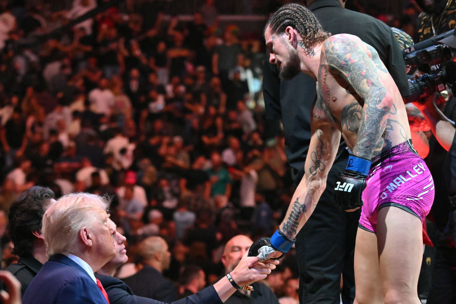 UFC maakt namen bekend voor 'UFC Freedom 250' in Witte Huis - Newsmonkey